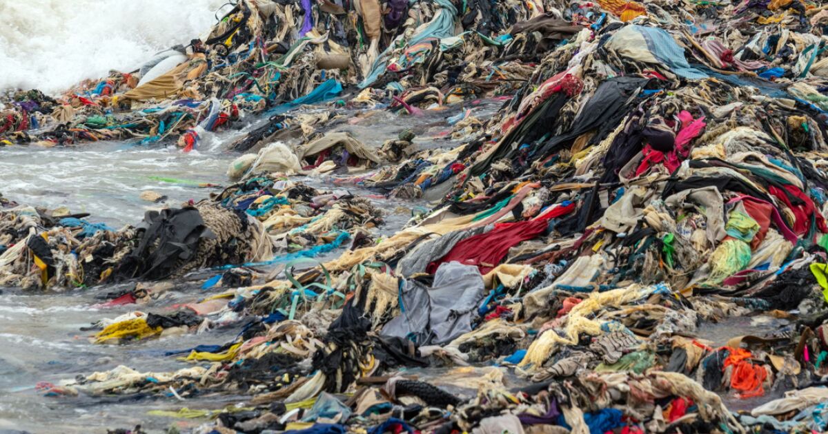 One Planet Mind - a sustainable clothing brand fighting against fast ...